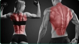 Máquina para Espalda Gym: Entrena Seguramente en Casa